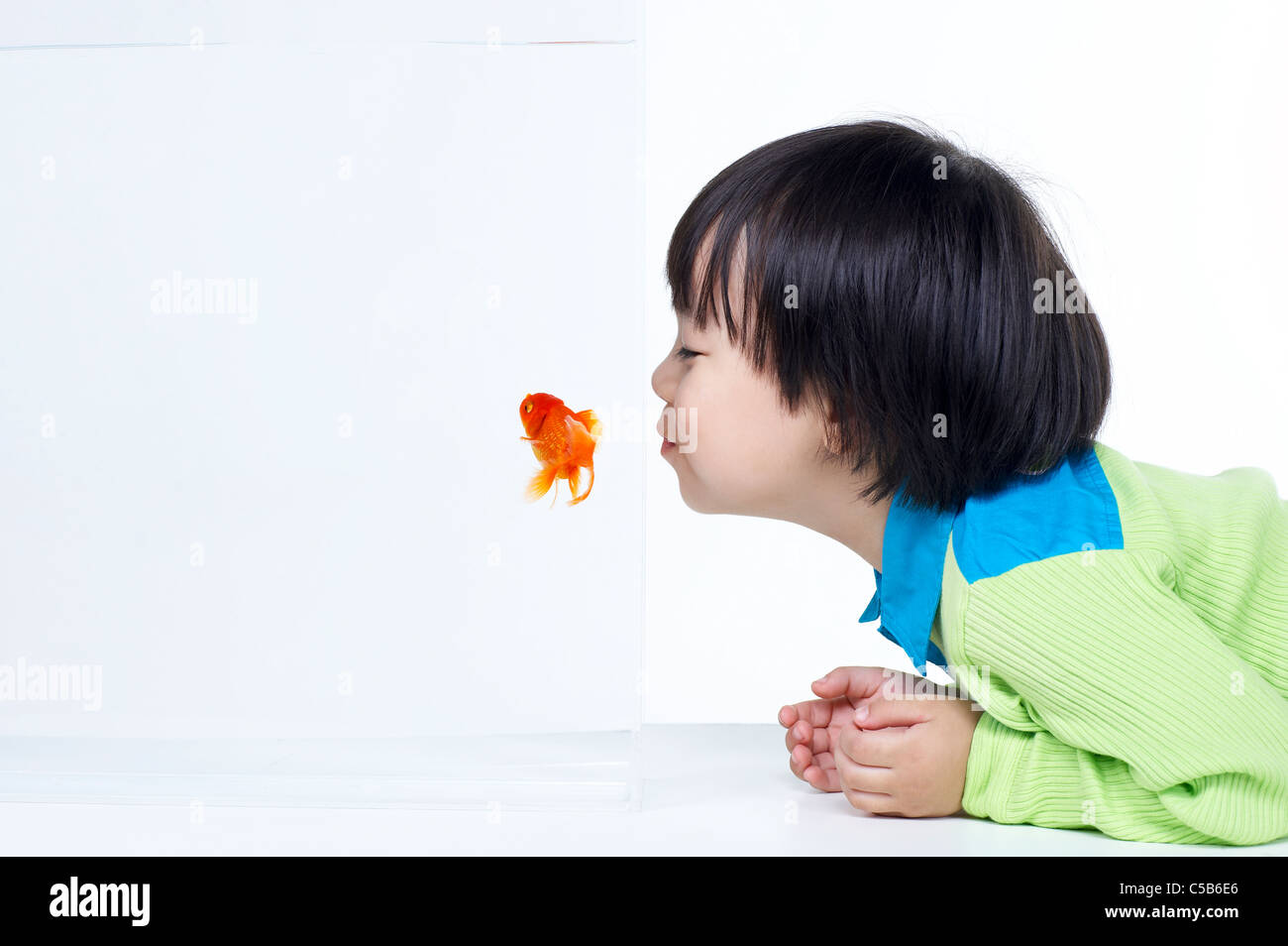 The goldfish boy hi-res stock photography and images - Alamy