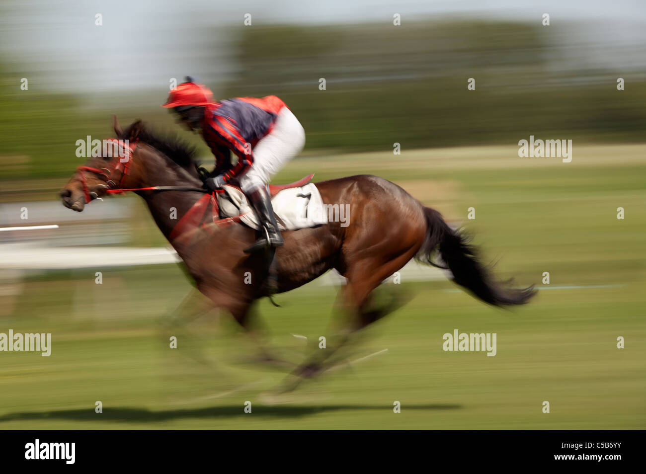 Profile galloping hi-res stock photography and images - Alamy