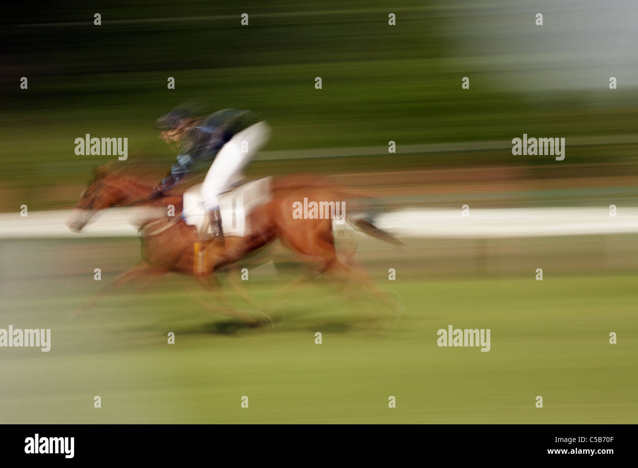 Profile galloping hi-res stock photography and images - Alamy