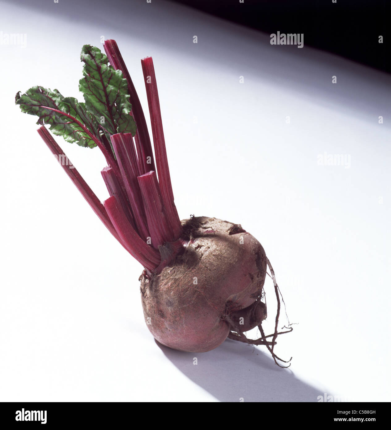 Beetrootcut hi-res stock photography and images - Alamy