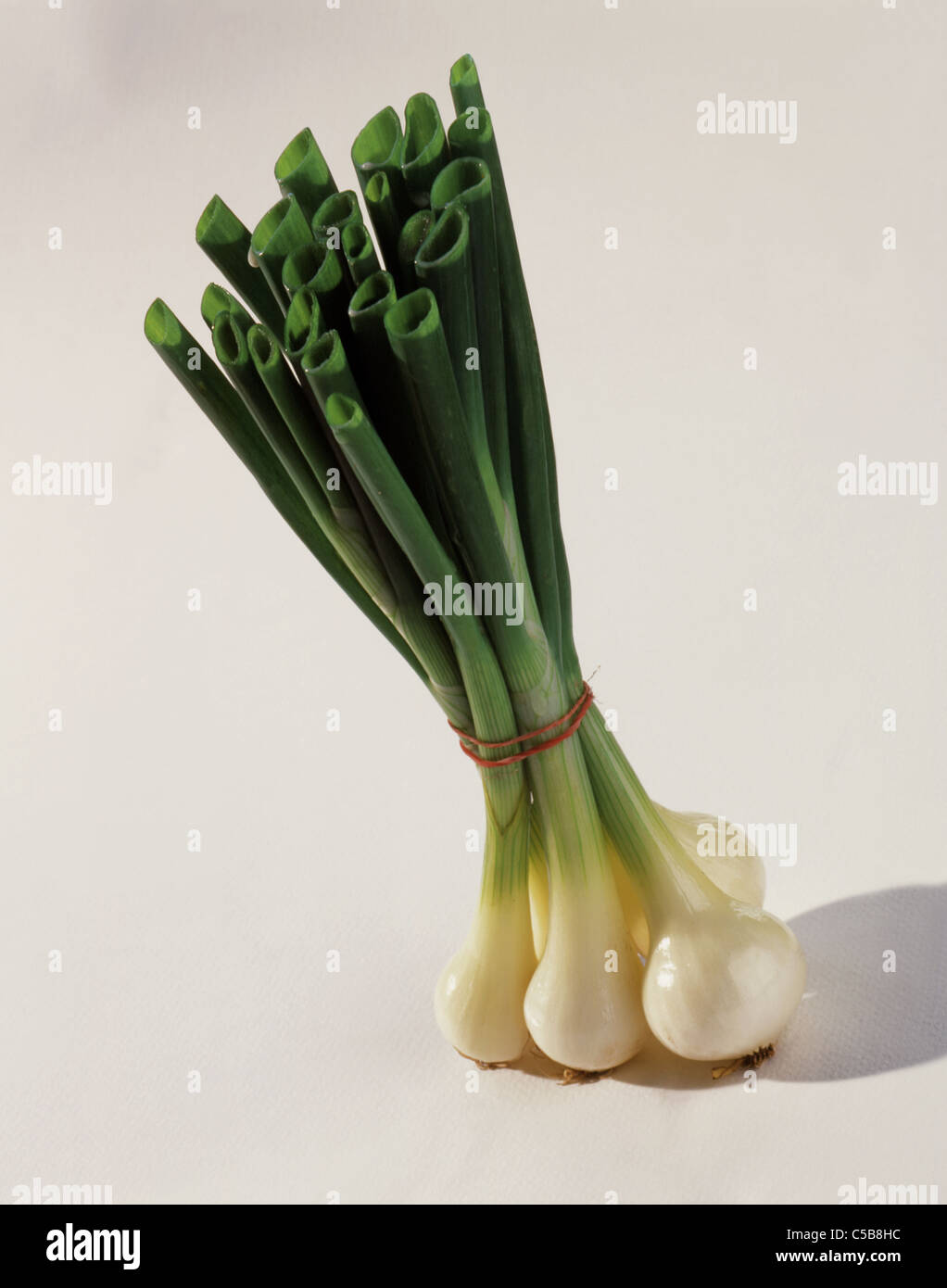 Cut out: Spring onion Stock Photo - Alamy