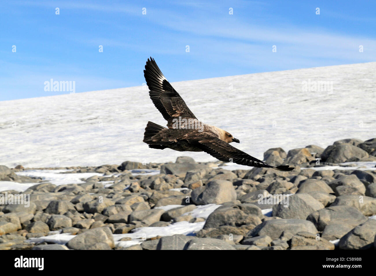 South pole flight hi-res stock photography and images - Alamy