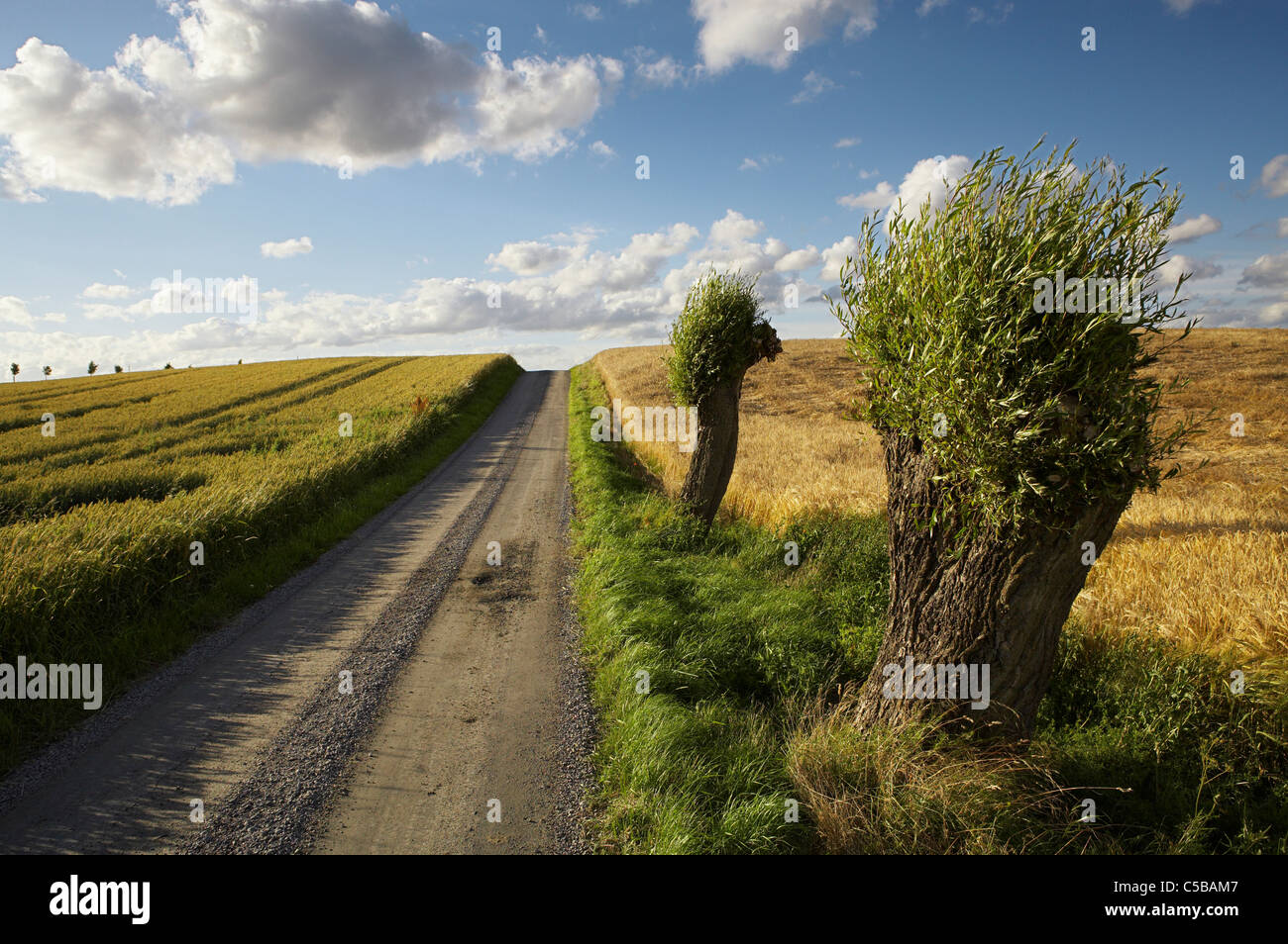 Narrow field hi-res stock photography and images - Alamy