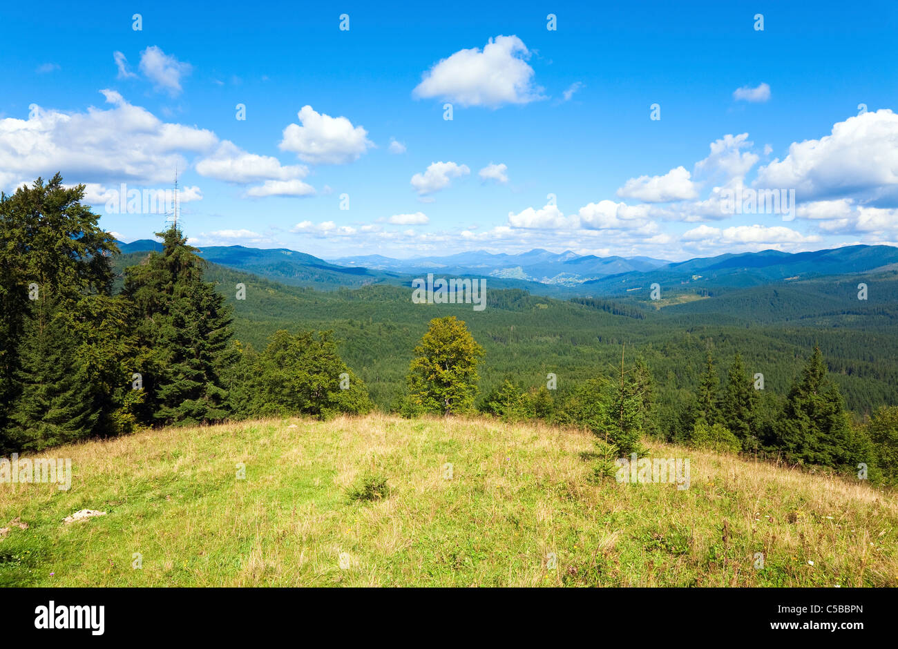 Summer mountain glade view (Carpathian, Ukraine Stock Photo - Alamy