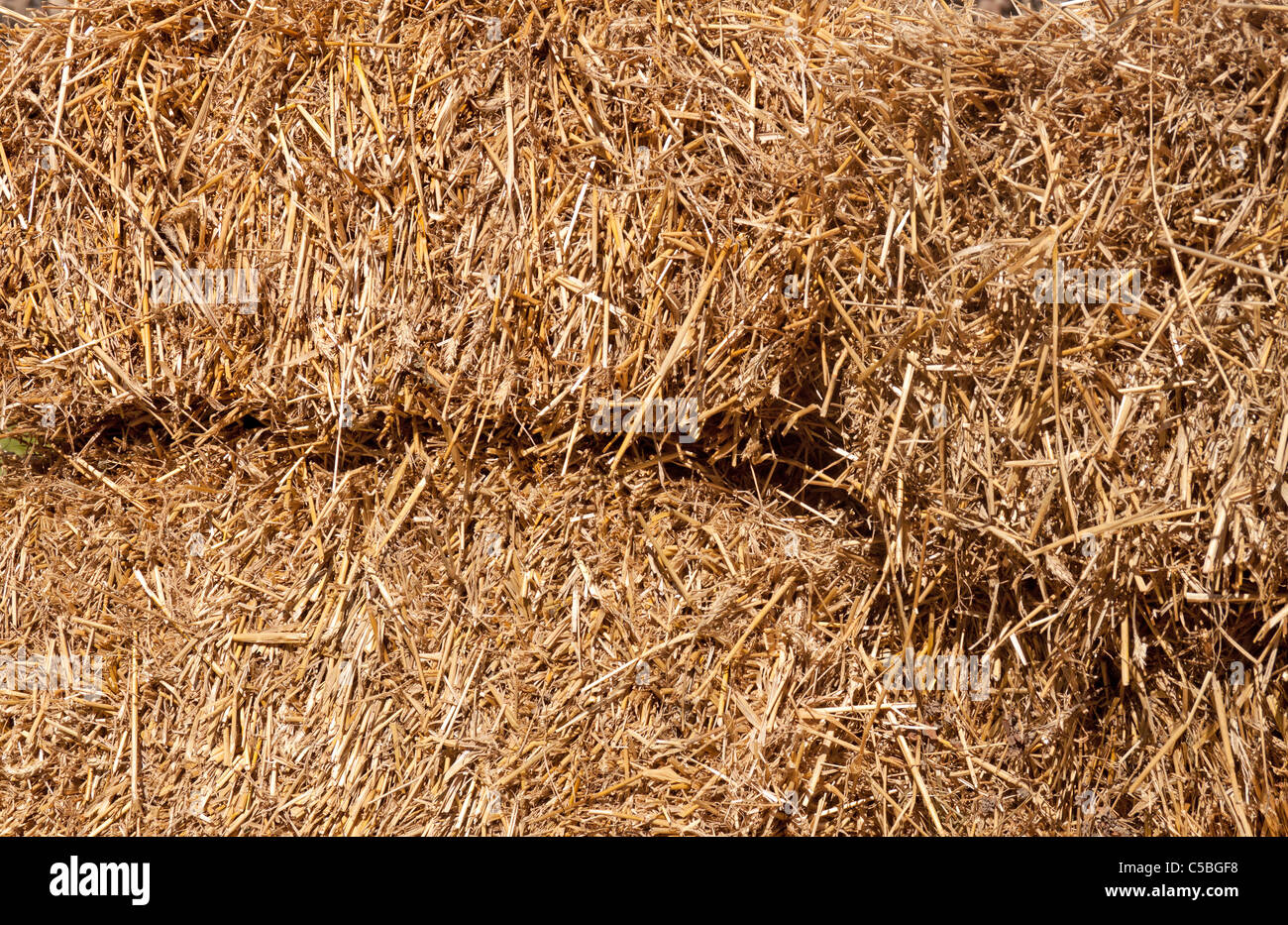 view to straw closeup as background Stock Photo - Alamy