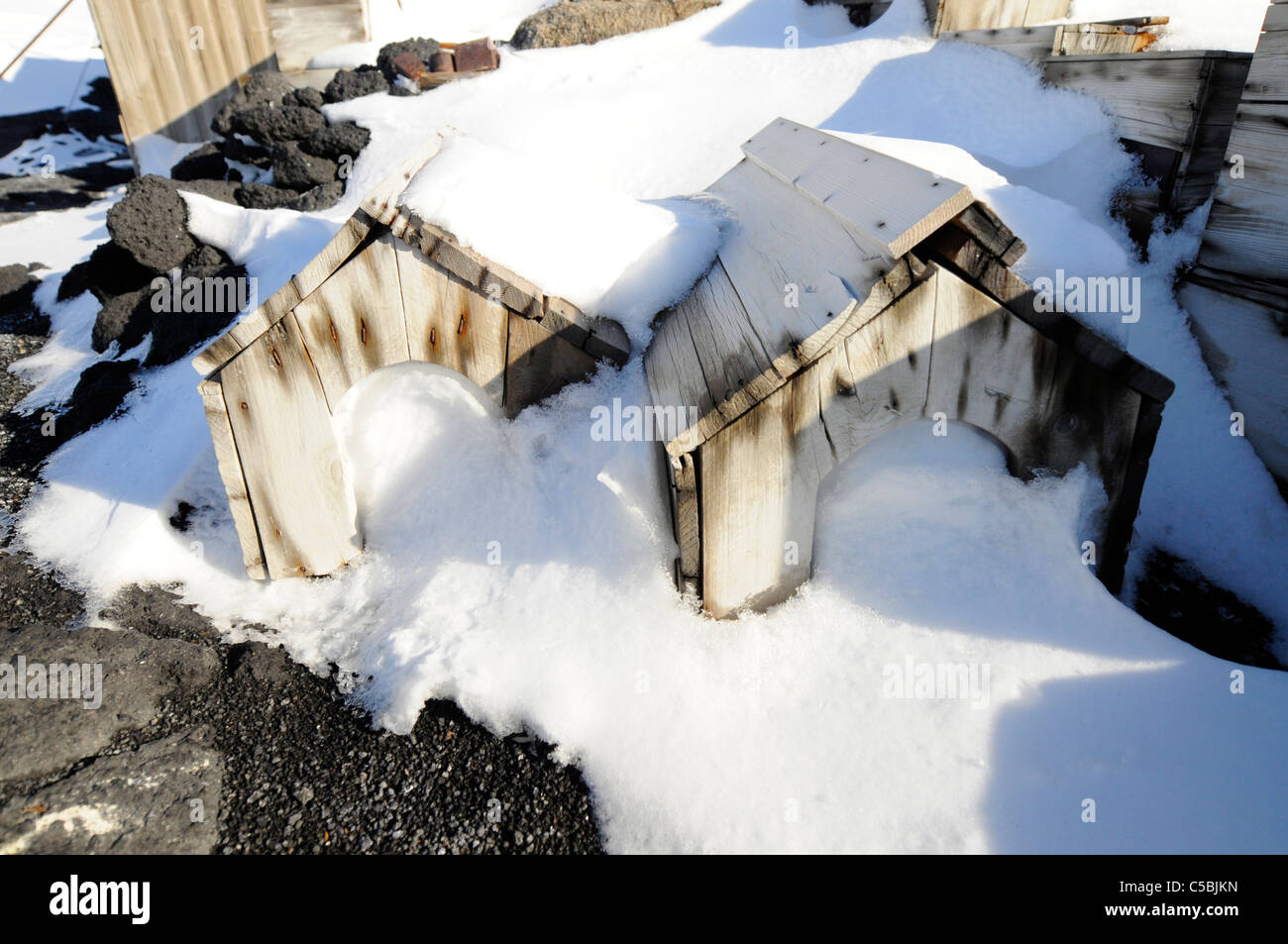 Historic artifact kennels at Shackleton's Hut Cape Royds Antarctica ...