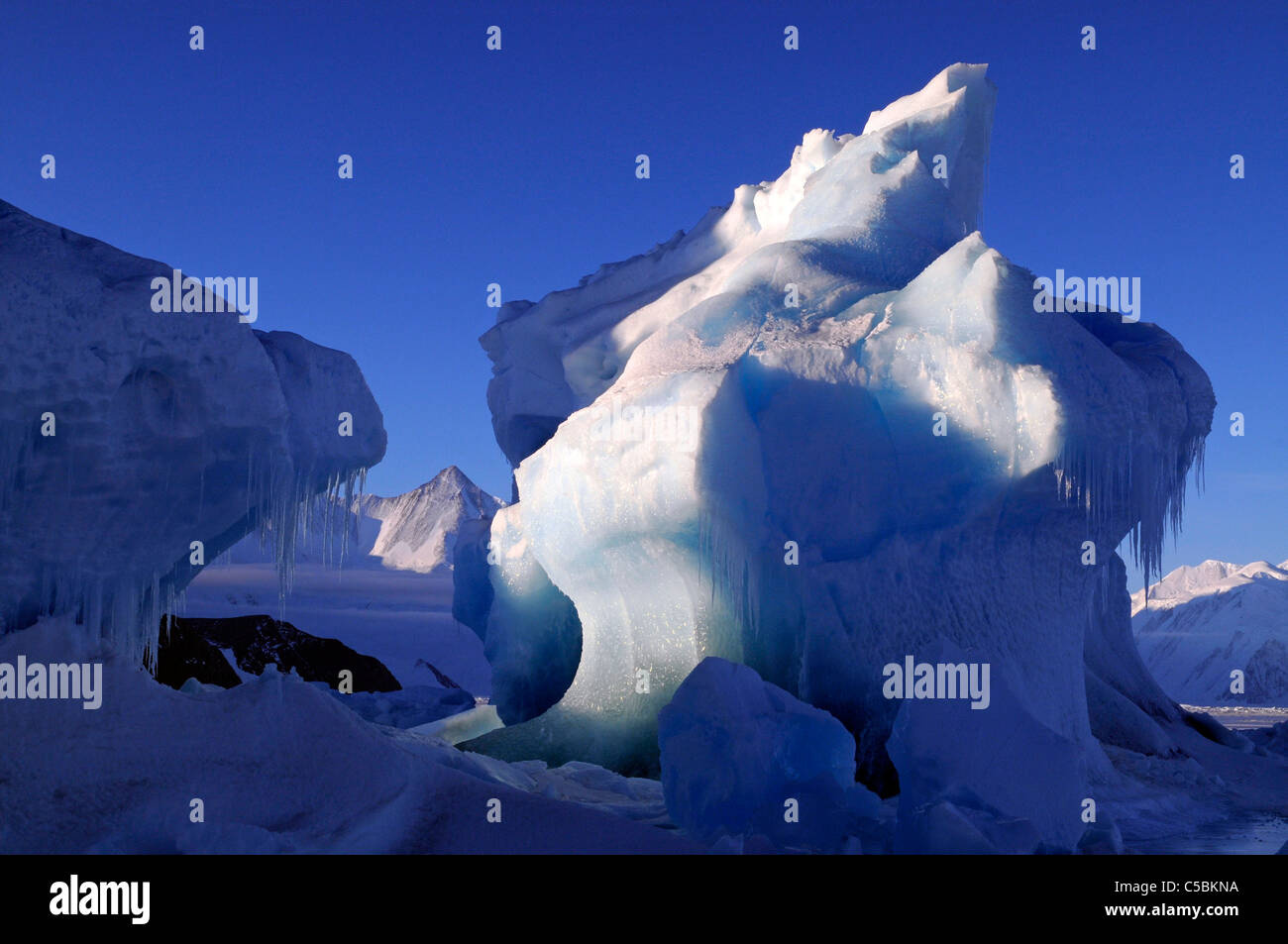 Iceberg blue antarctica hi-res stock photography and images - Alamy
