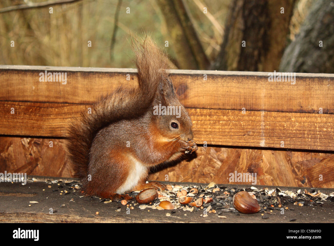 Alverstone mead nature reserve hi-res stock photography and images - Alamy