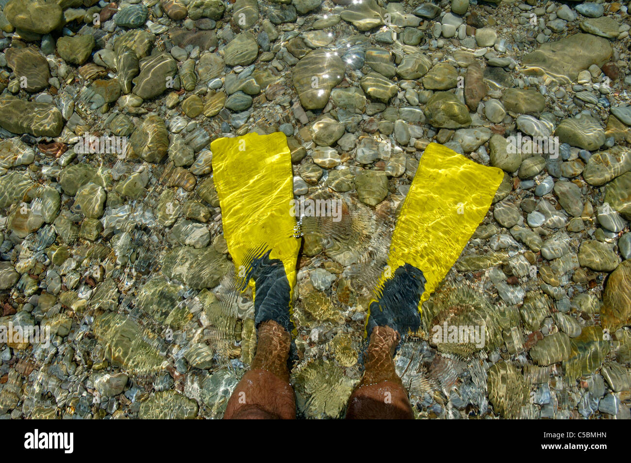 Yellow Flippers High Resolution Stock Photography and Images - Alamy