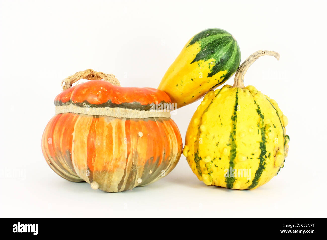 Miscellaneous colorful decorative gourds, isolated Stock Photo - Alamy