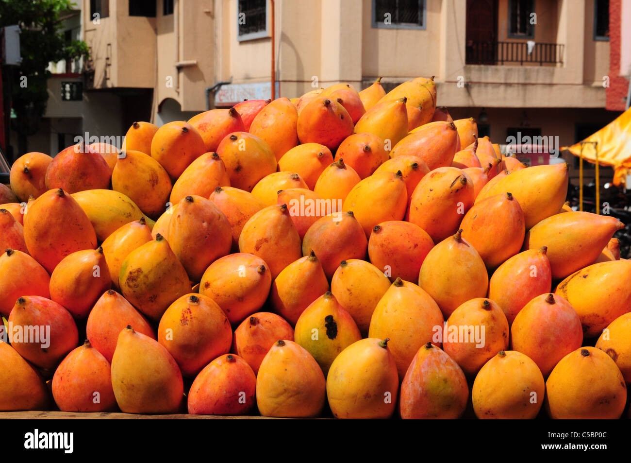 Shadow mango hi-res stock photography and images - Alamy