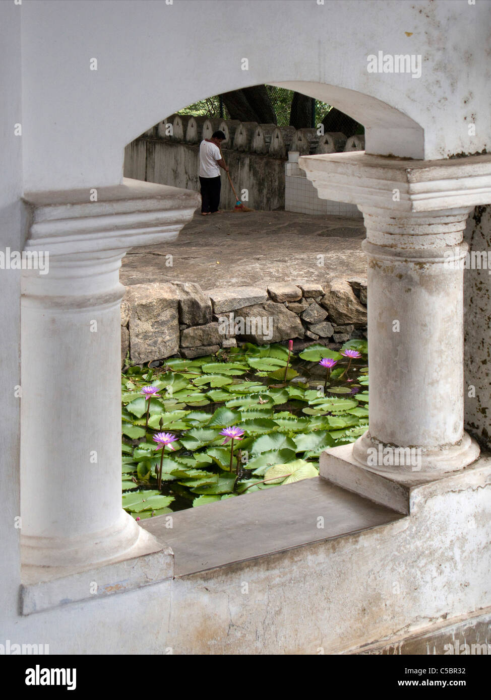 One of ponds in the grounds of the temple complex. Dambulla, Sri Lanka ...