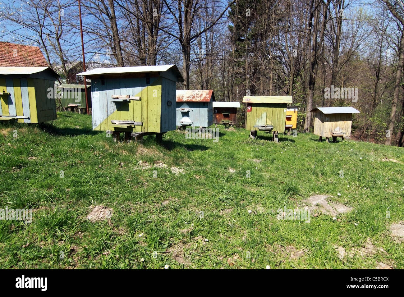 apiary with beehives in the forest Stock Photo - Alamy
