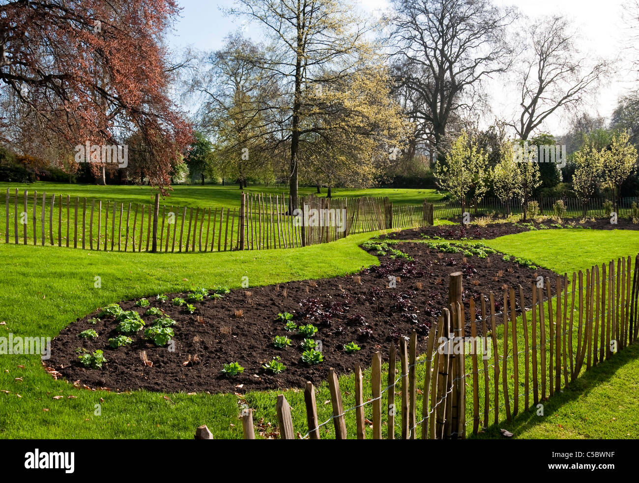 Garden british fence grass hi-res stock photography and images - Alamy