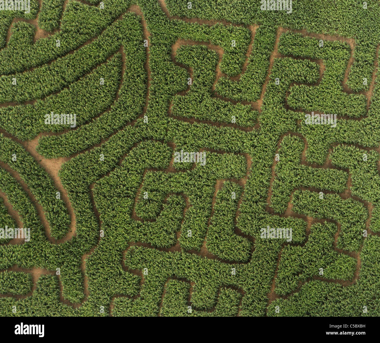 Maize maze hi-res stock photography and images - Alamy