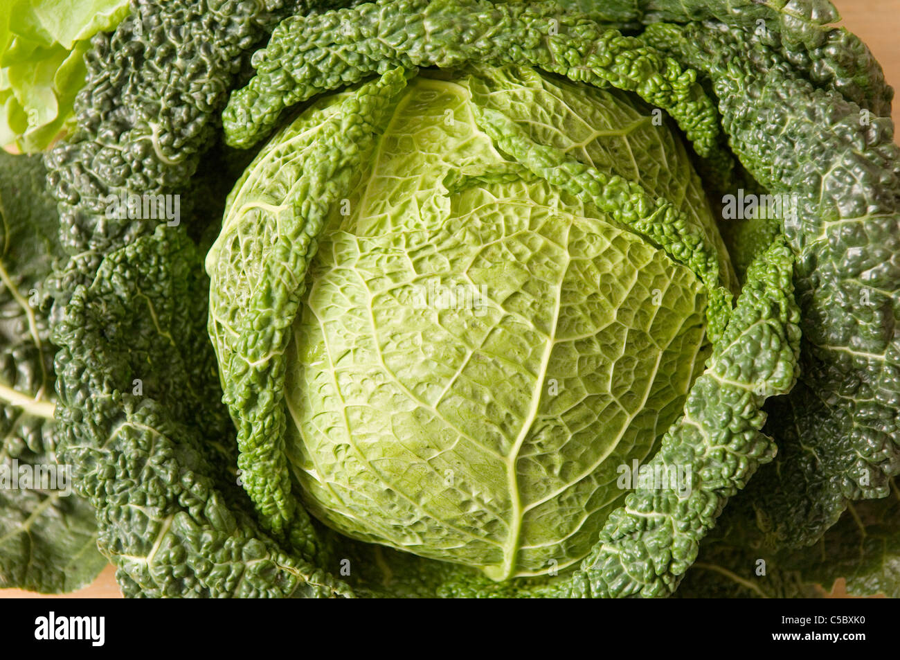 Detail shot of a kale Stock Photo - Alamy