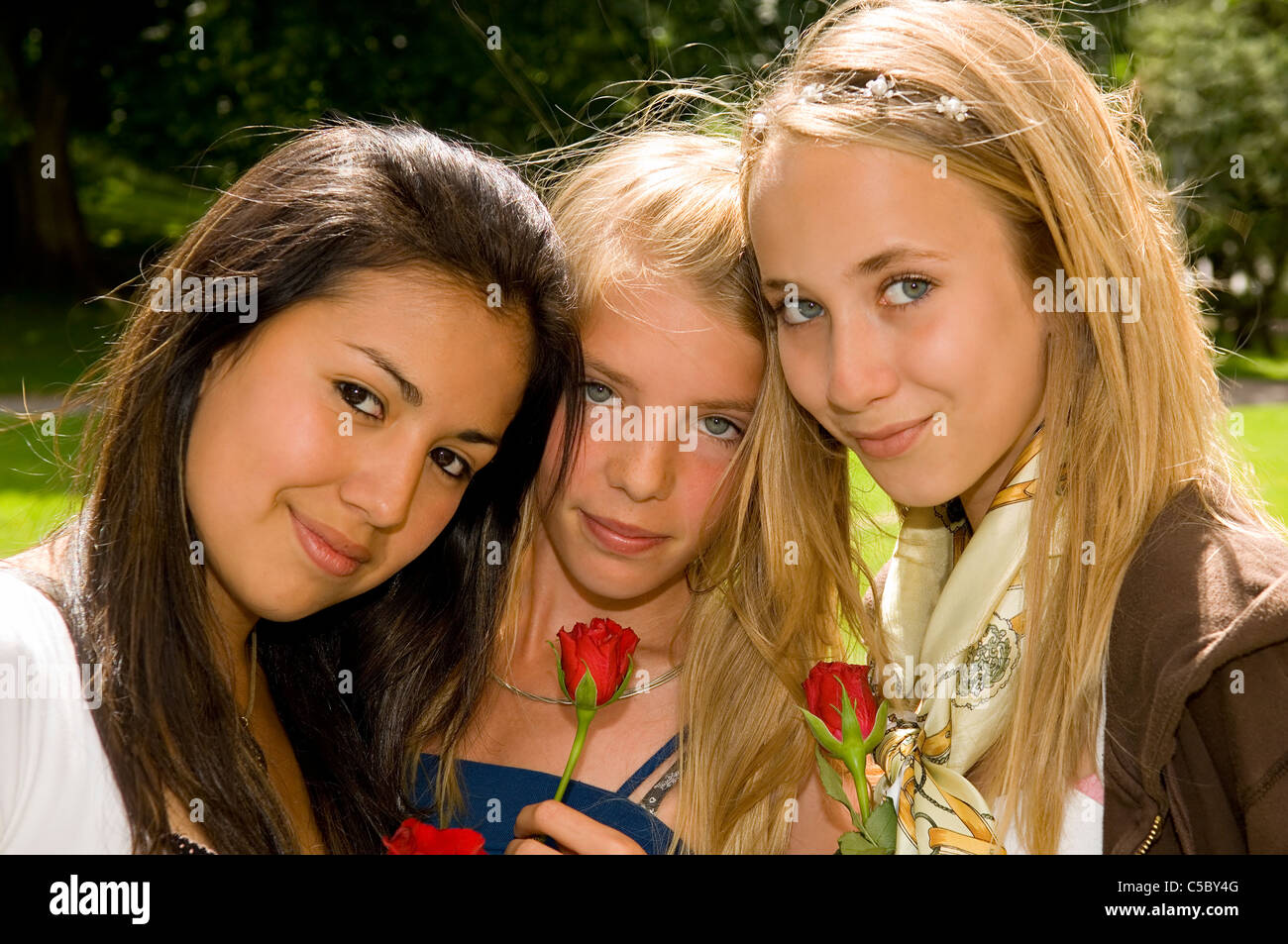 Three roses together hi-res stock photography and images - Alamy