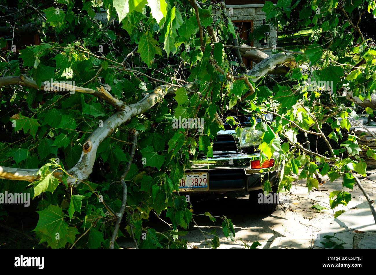 Car damage storm hi-res stock photography and images - Alamy