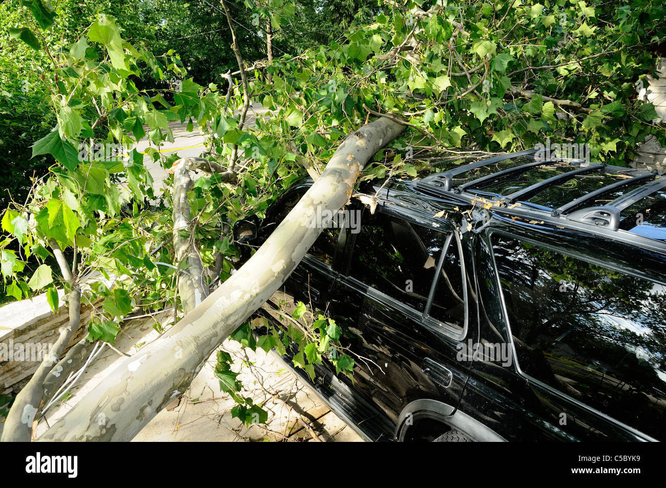 Suv accident with tree hi-res stock photography and images - Alamy