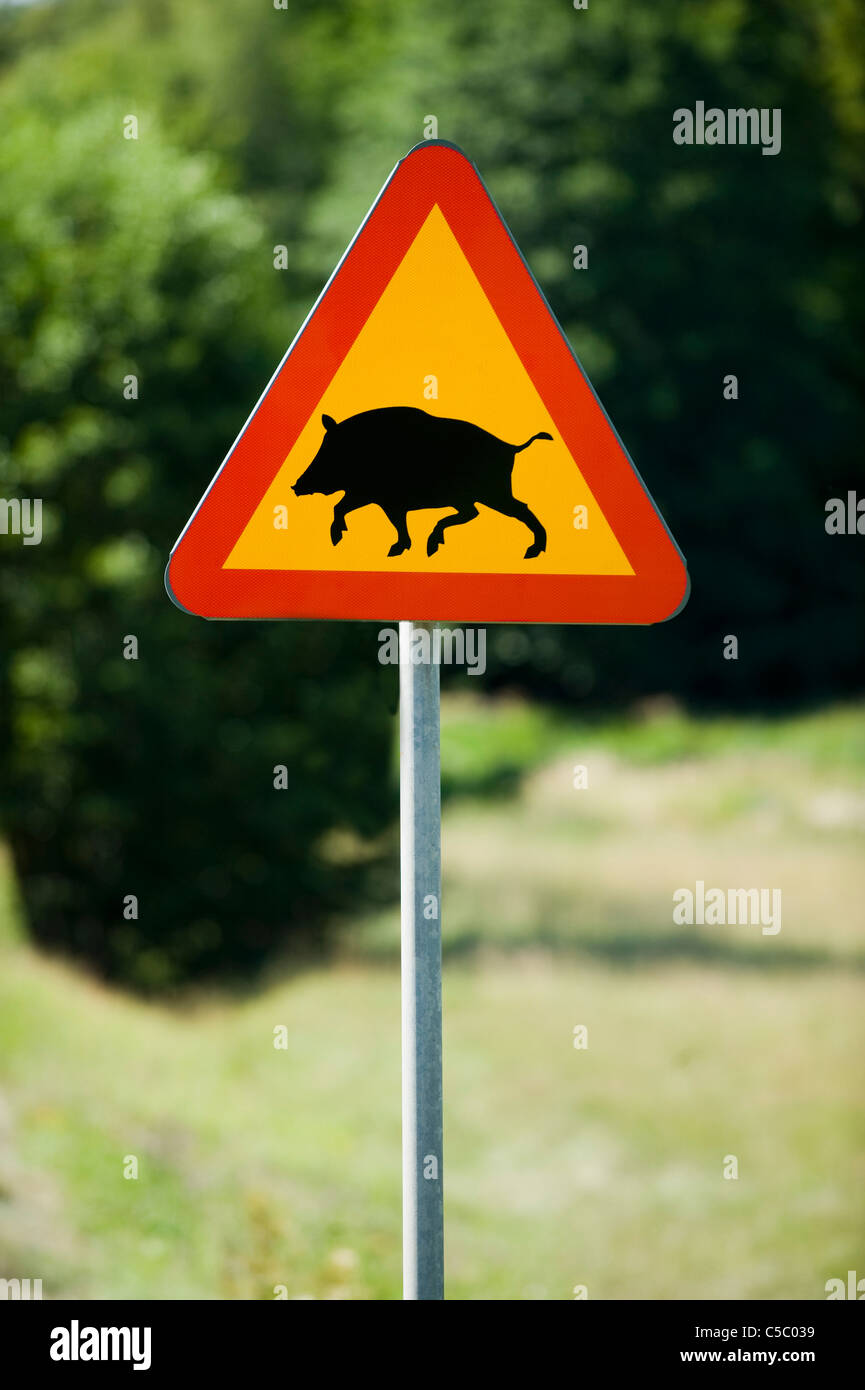 Warning Danger Wild Boar Sign High Resolution Stock Photography and ...