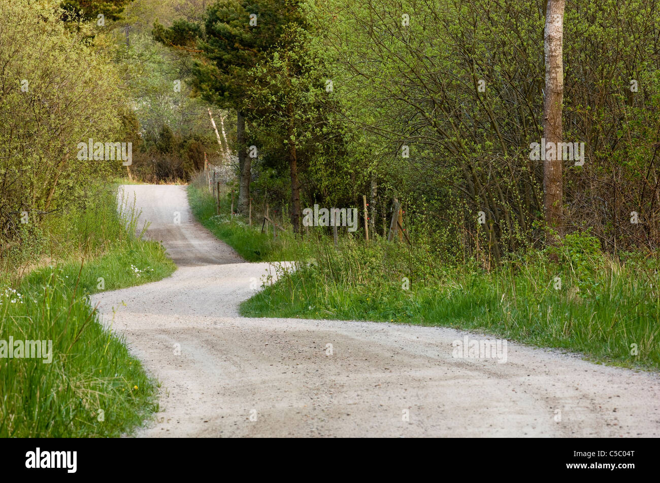 Dirt road in landscape in spring hi-res stock photography and images ...