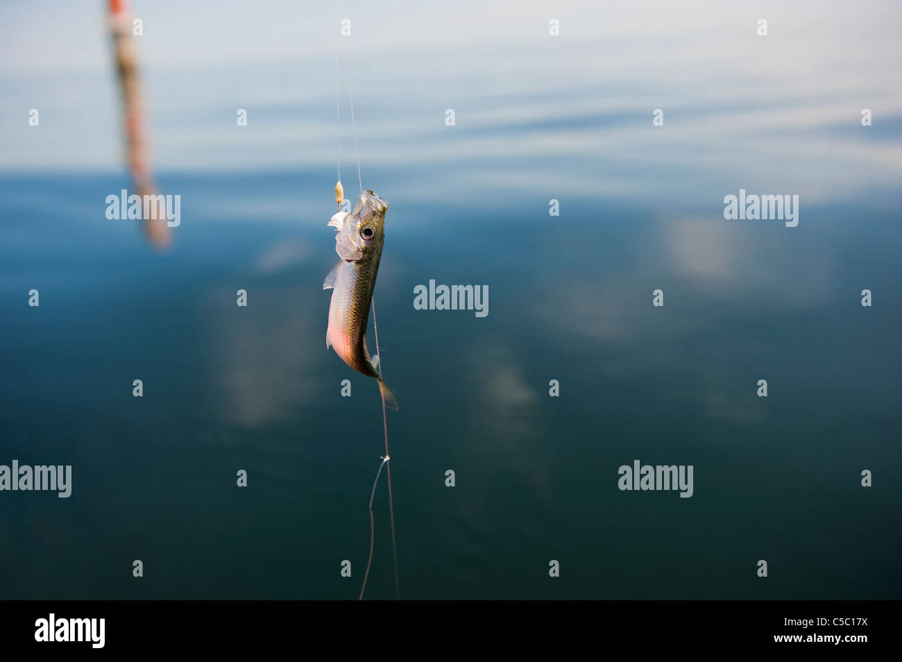 Passtime view hi-res stock photography and images - Alamy