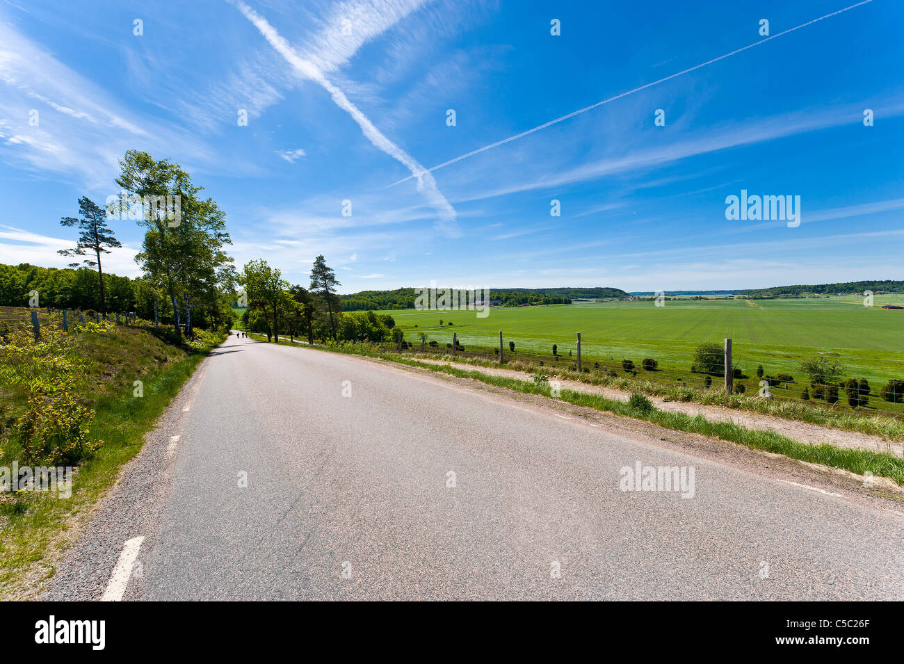 Tar road surface hi-res stock photography and images - Alamy