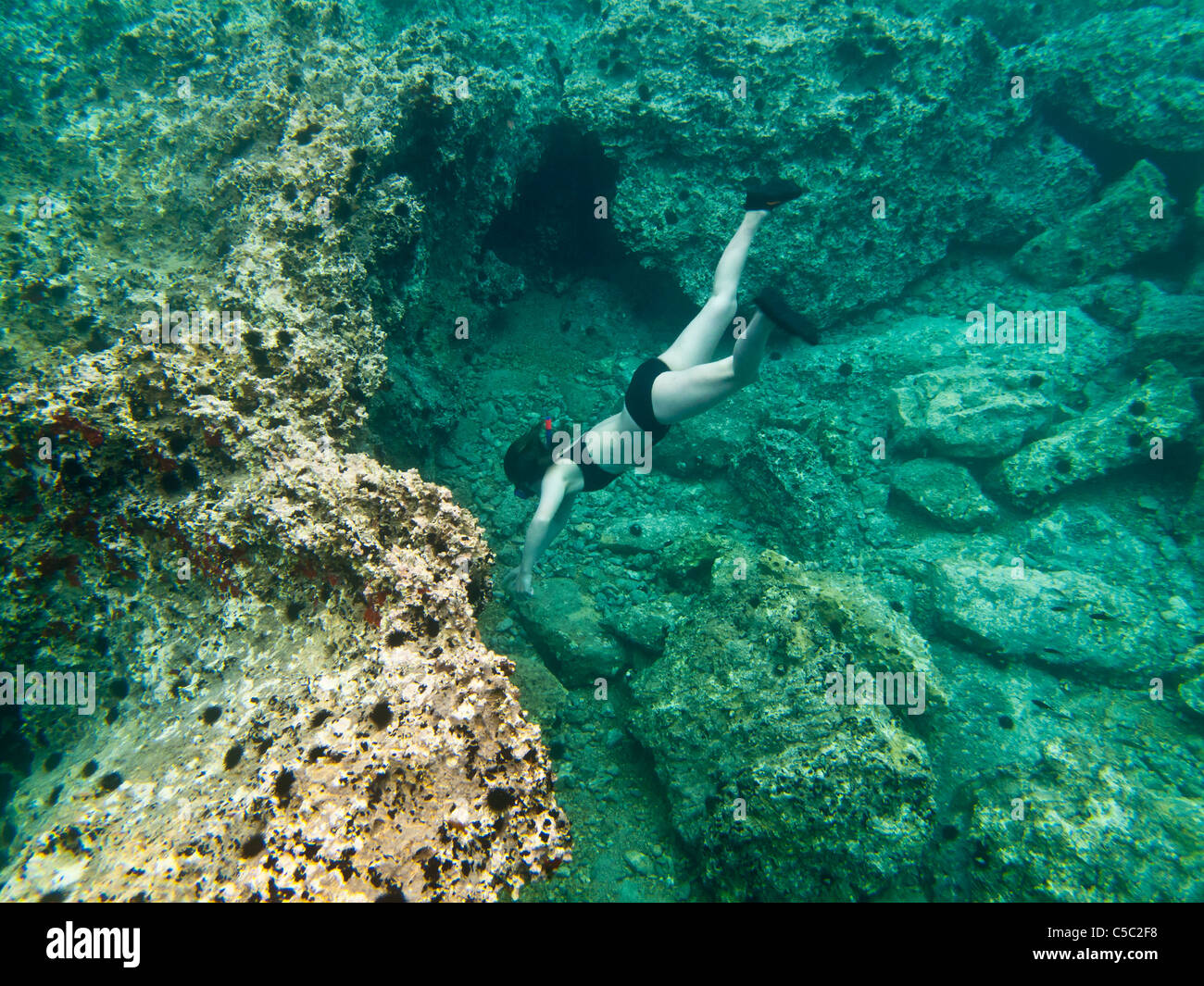 Crevice High Resolution Stock Photography and Images - Alamy