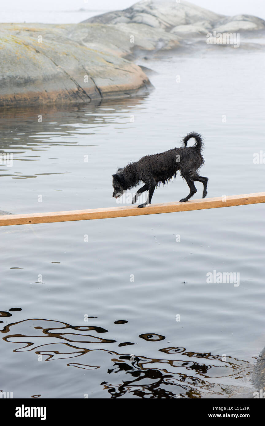 Balancing water hi-res stock photography and images - Alamy