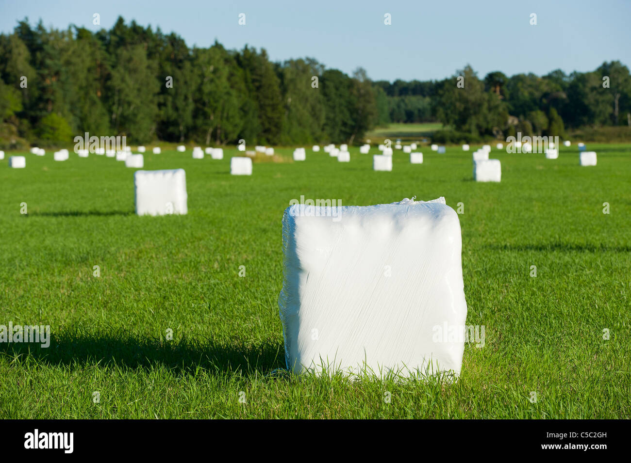 Plastic wrapped hay bale many hi-res stock photography and images - Alamy