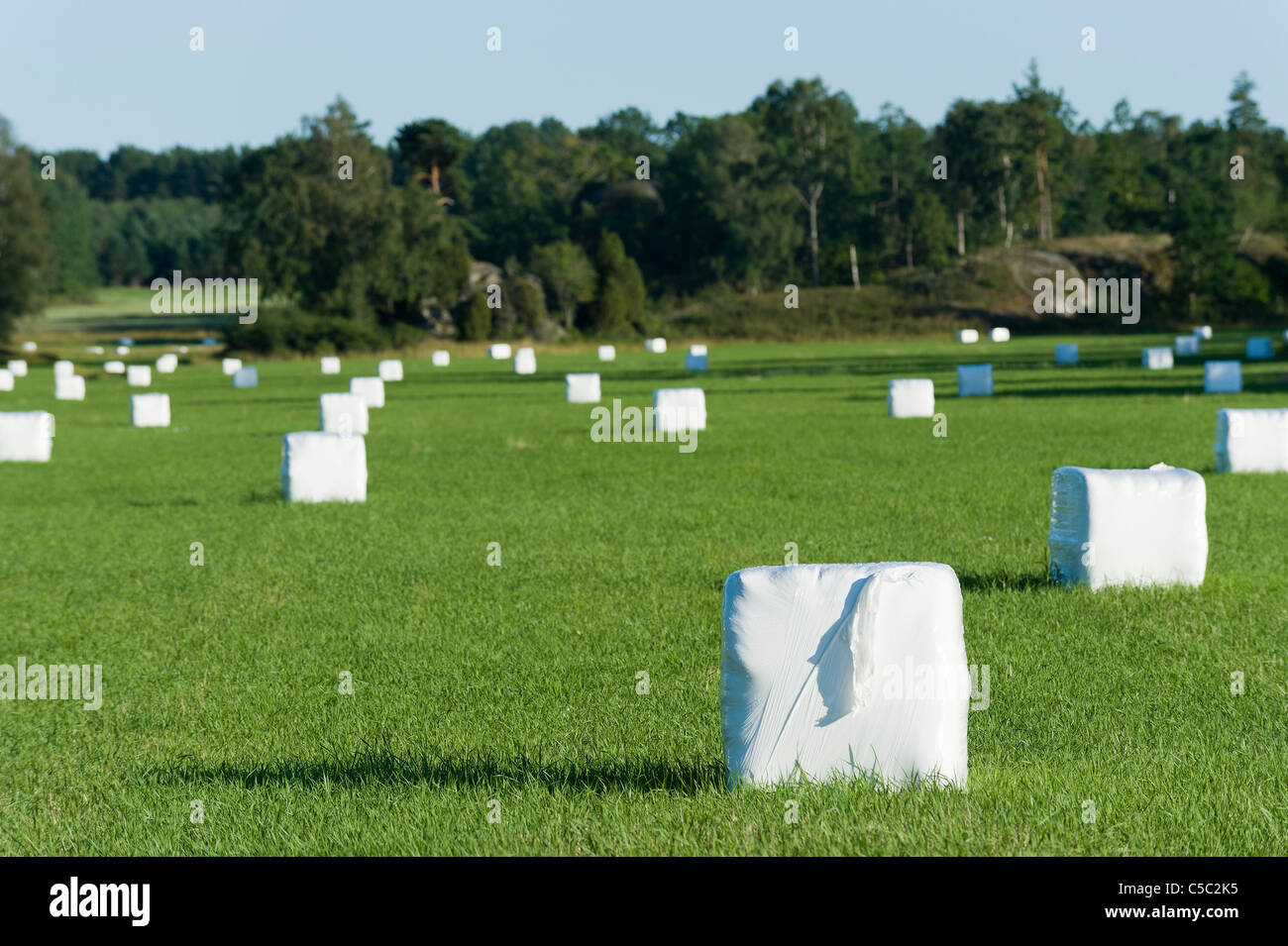 Plastic wrapped hay hi-res stock photography and images - Alamy