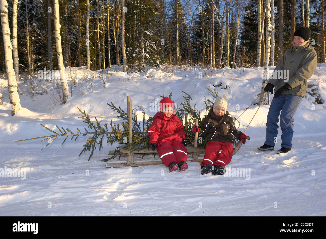 Sledge Tree High Resolution Stock Photography and Images - Alamy