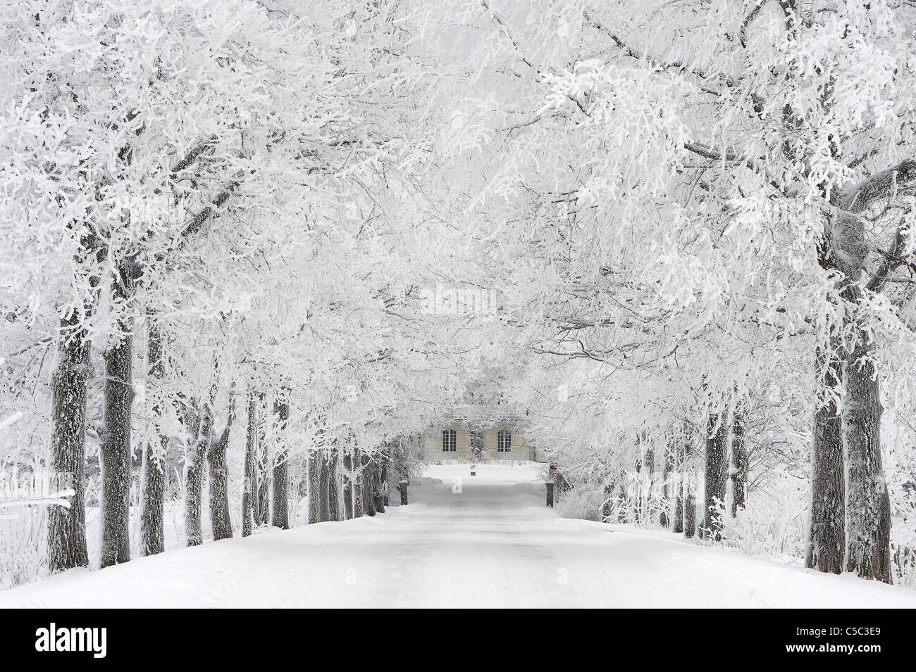 Beautiful scene hi-res stock photography and images - Alamy