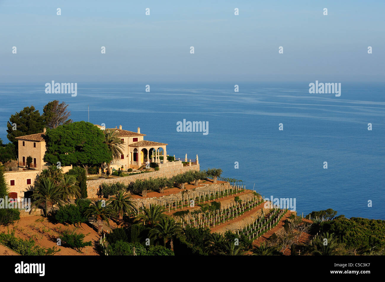 Terraces olive trees hi-res stock photography and images - Alamy