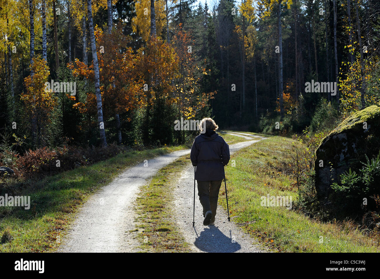 Narrow curvy road hi-res stock photography and images - Alamy