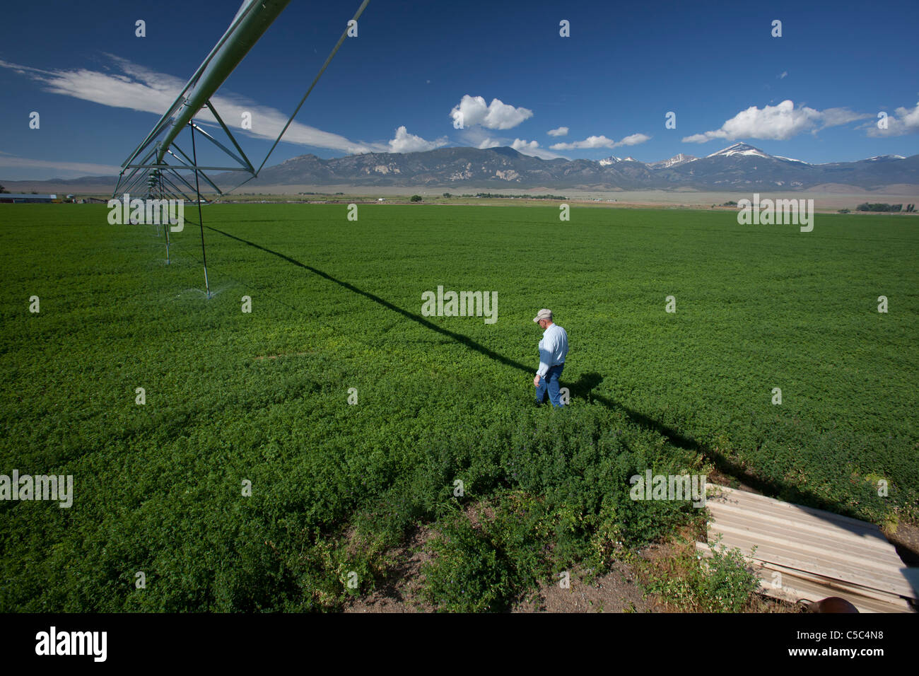 Agriculture farm farming nevada pivot hi-res stock photography and ...