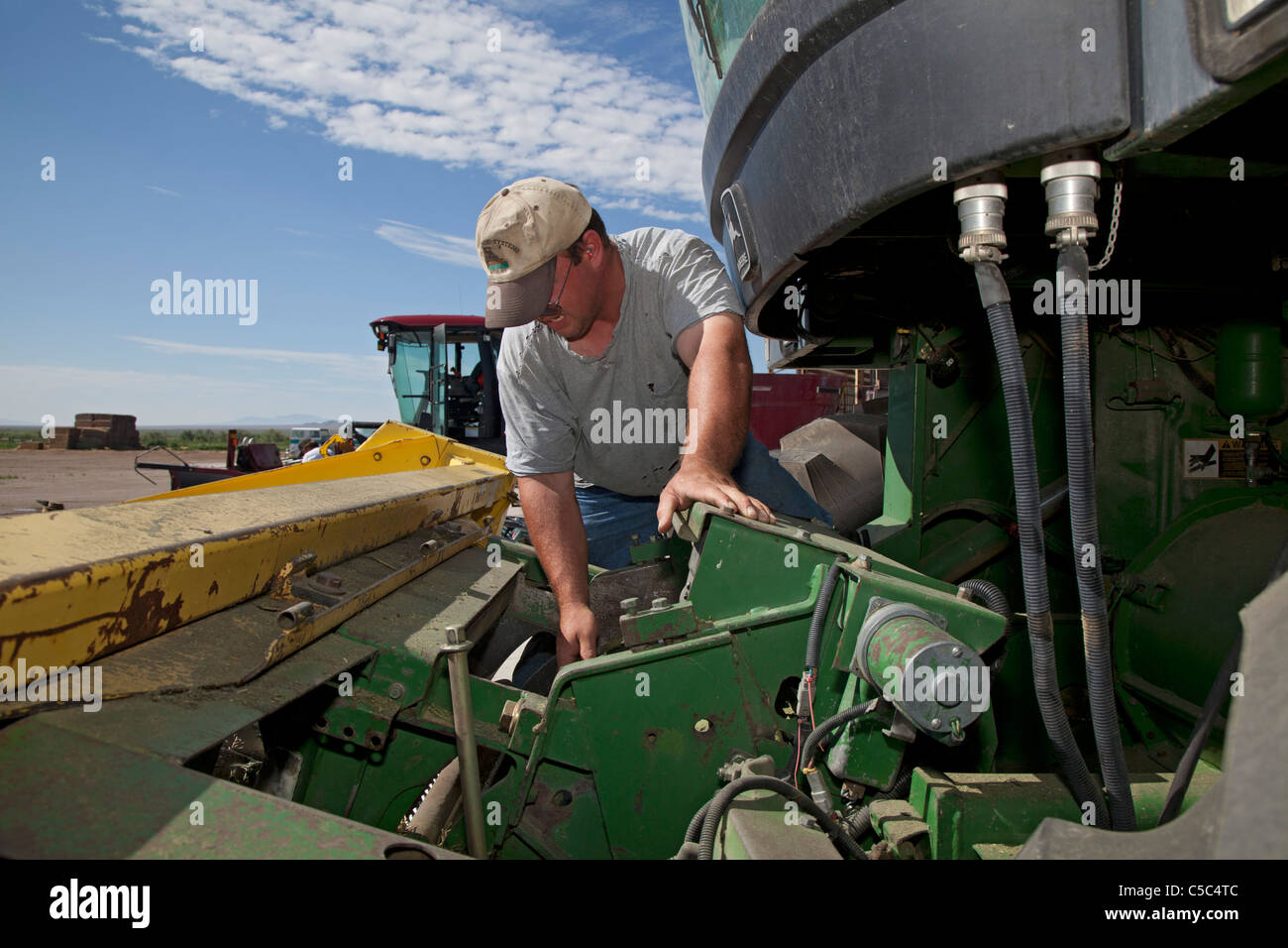 Nevada Cattle Ranch Stock Photo - Alamy