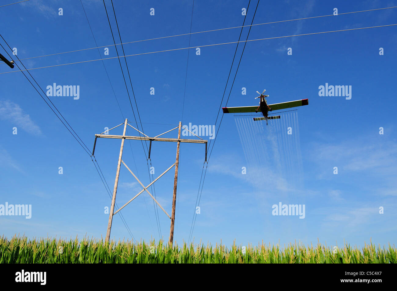 Power line above corn hi-res stock photography and images - Alamy