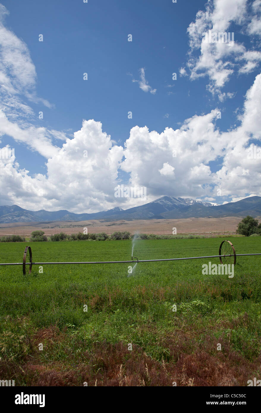 Nevada Cattle Ranch Stock Photo - Alamy