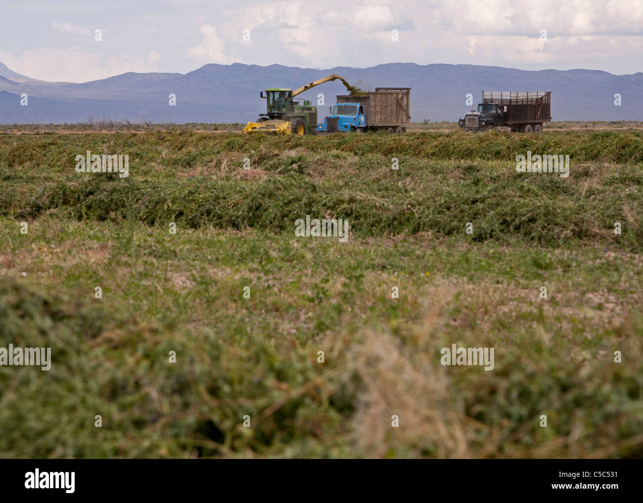 Ranch nevada hi-res stock photography and images - Alamy