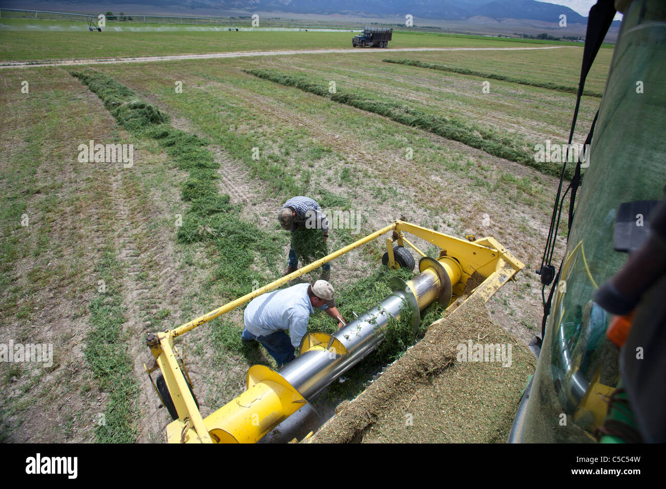 Nevada Cattle Ranch Stock Photo - Alamy