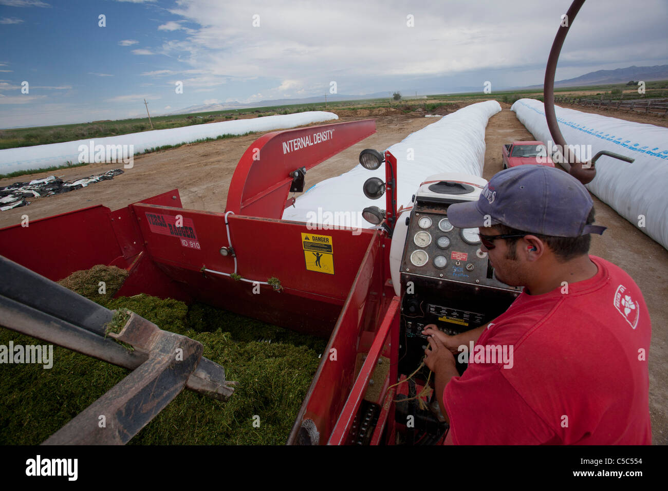 Nevada Cattle Ranch Stock Photo - Alamy