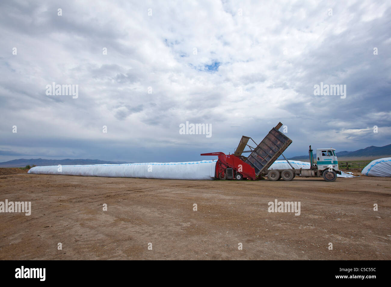 Nevada Cattle Ranch Stock Photo - Alamy