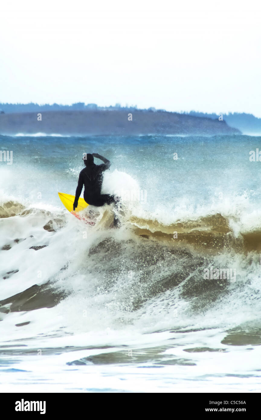 Halifax canada winter surfing hi-res stock photography and images - Alamy