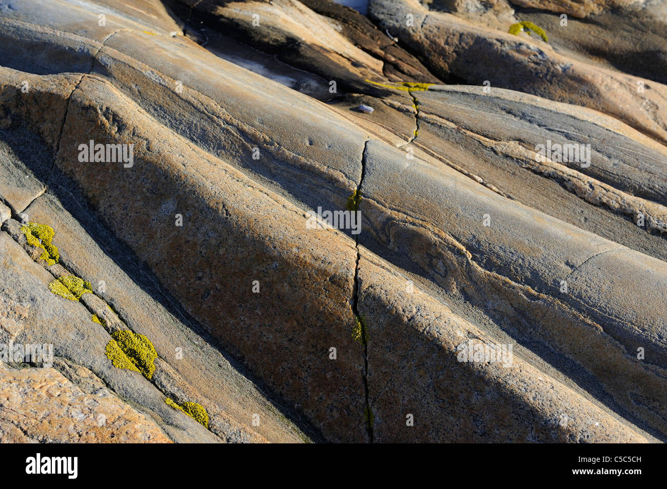 Granite rock crevice hi-res stock photography and images - Alamy