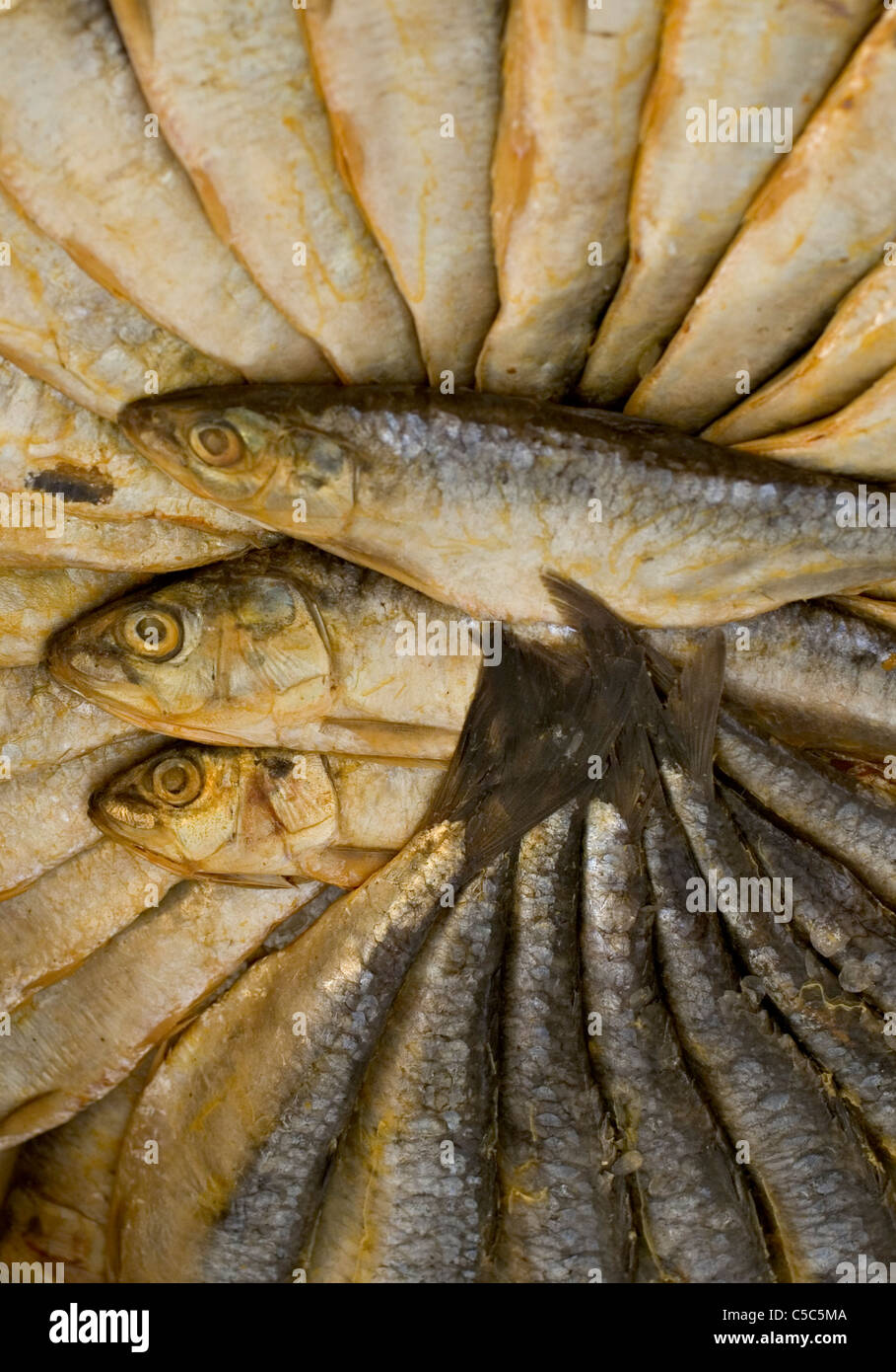 How many fish hi-res stock photography and images - Alamy