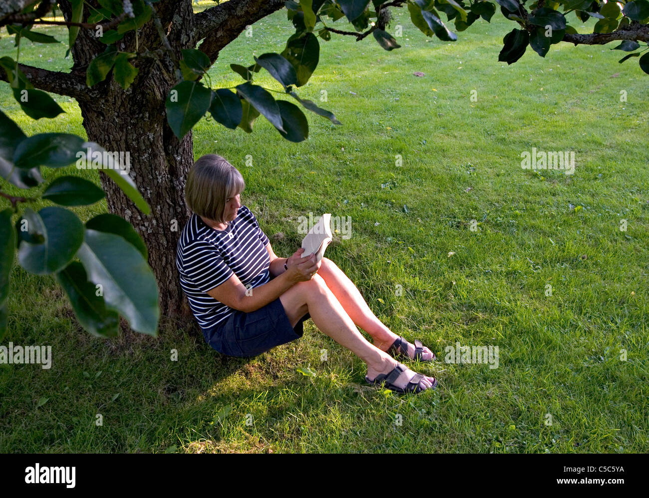 Reading under a tree hi-res stock photography and images - Alamy