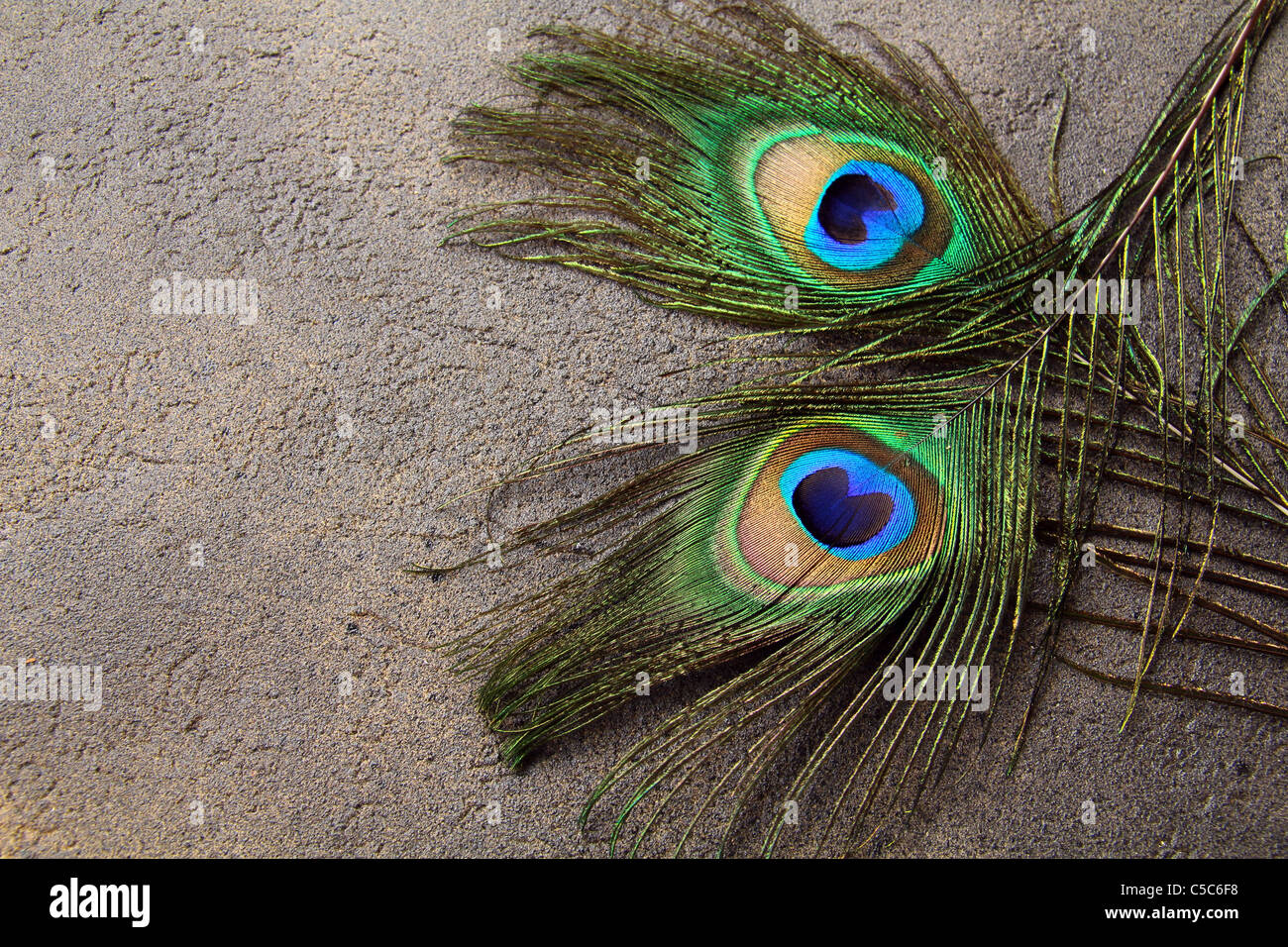 Two peacock feathers for background Stock Photo - Alamy