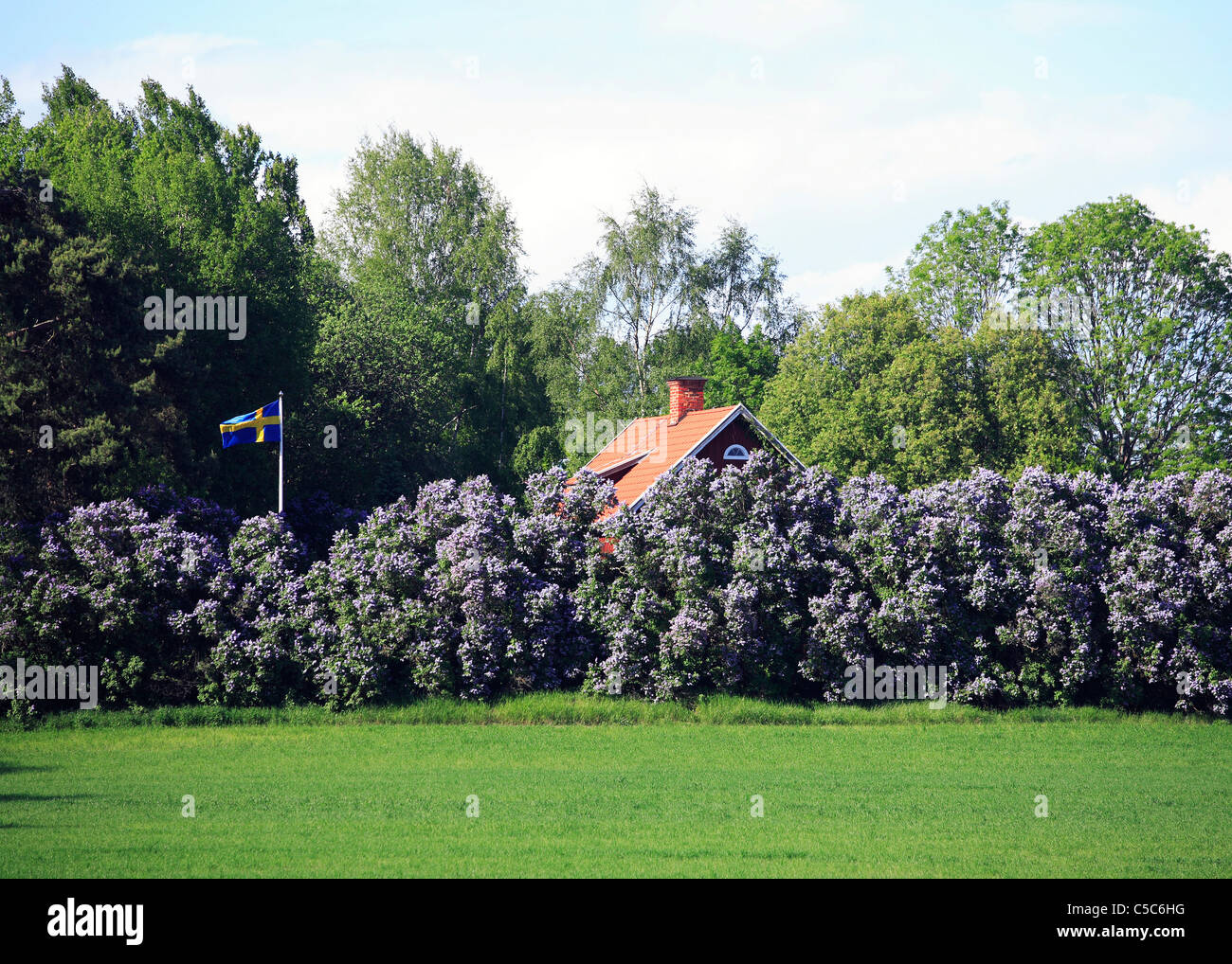 Rustic bower hi-res stock photography and images - Alamy