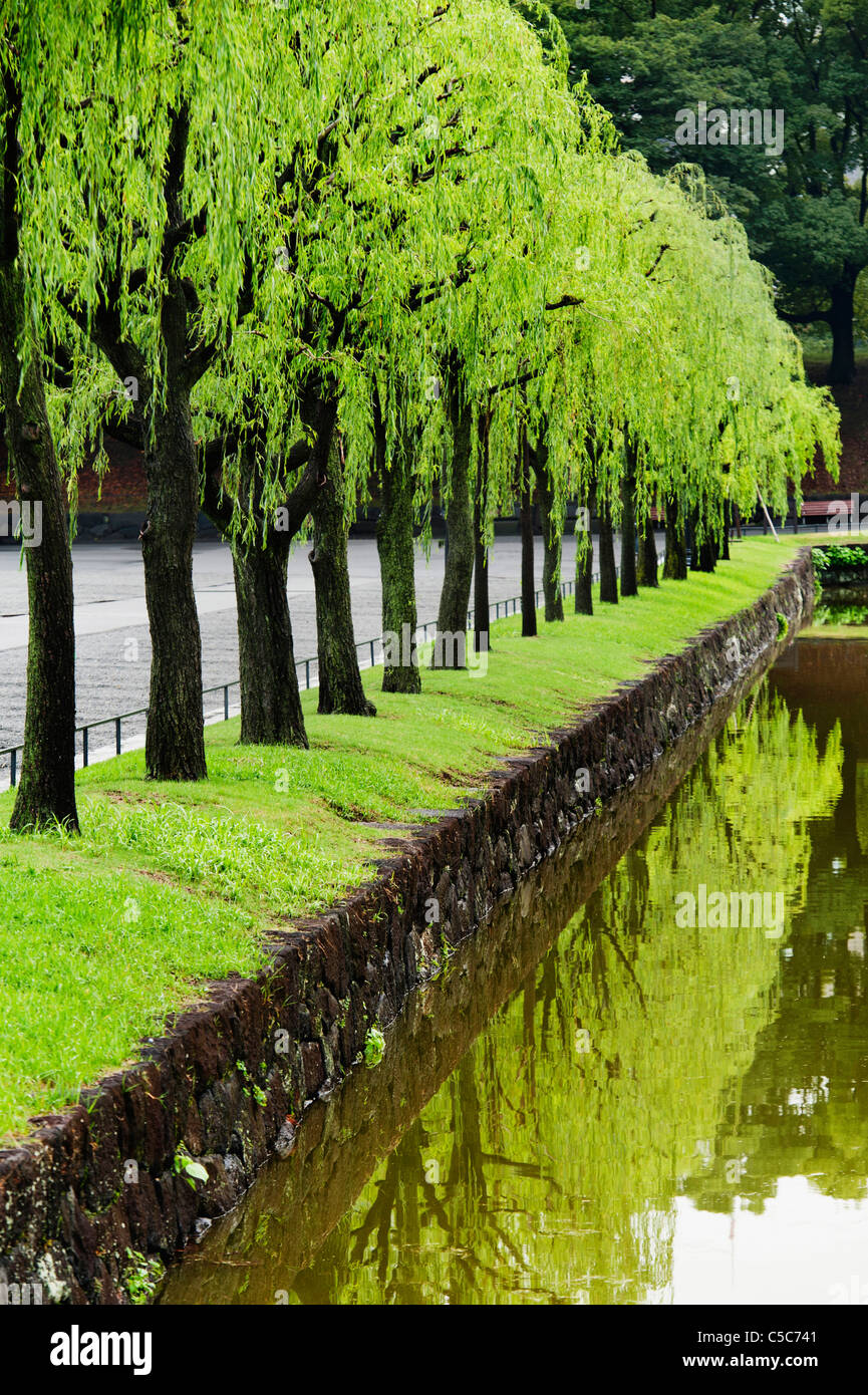Trees Reflected In Water At The Imperial Palace; Tokyo, Japan Stock ...